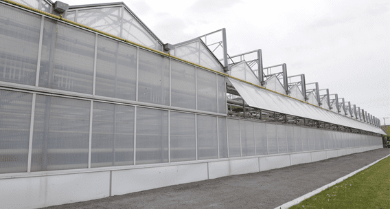 Open Roof Greenhouses - Westbrook Greenhouse Systems | Commercial ...