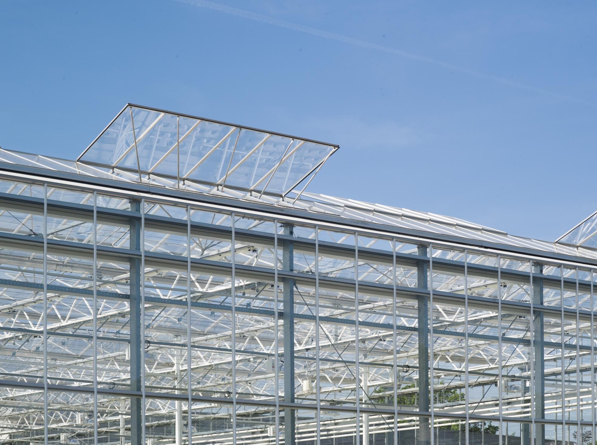 Venlo Greenhouses - Westbrook Greenhouse Systems | Commercial ...