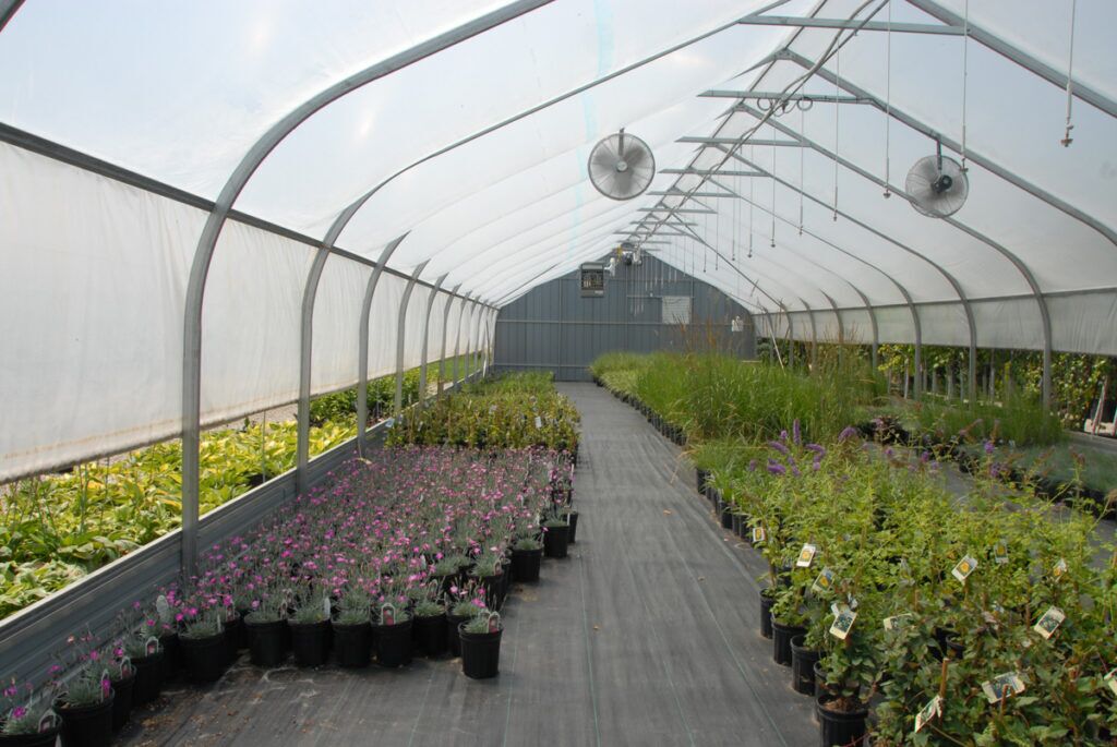 Freestanding Greenhouse - Westbrook Greenhouse Systems | Commercial Greenhouses | Greenhouse ...